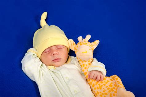 장난감 기린과 파란색 담요에 누워 귀여운 신생아 소년 또는 소녀 낮잠에 대한 스톡 사진 및 기타 이미지 낮잠 누워있기 대리 Istock