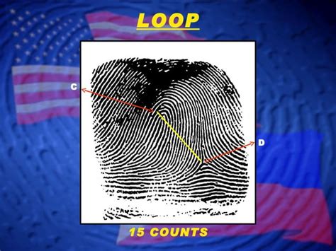 Fingerprint Classification Slide 1 Ppt Science