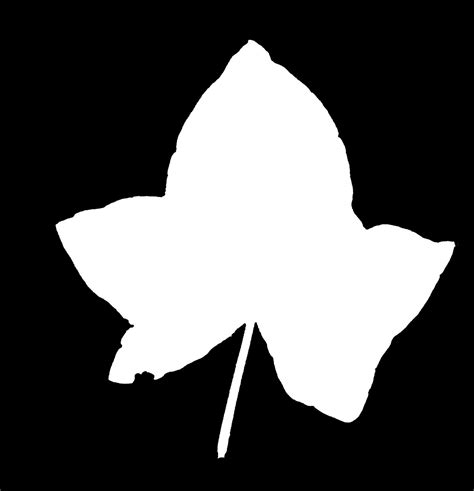 High Resolution Textures Leaf Textures