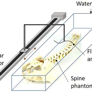 Illustration Of The Setup Of Linear Motor And The Flexible Transducer Download Scientific