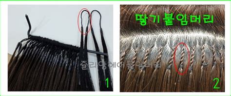 붙임머리 유팁 지식in