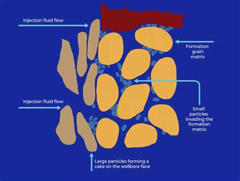 Carbon Capture In Dense Phase Co2 Filtration Pall Corporation