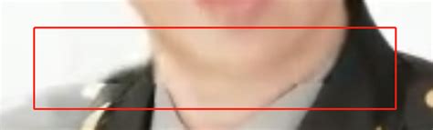 Wav2lip生成出来有很严重的遮罩 · Issue 766 · Paddlepaddlepaddlegan · Github