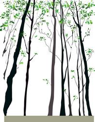 Birch Tree Forest With Deers Royalty Free Vector Image
