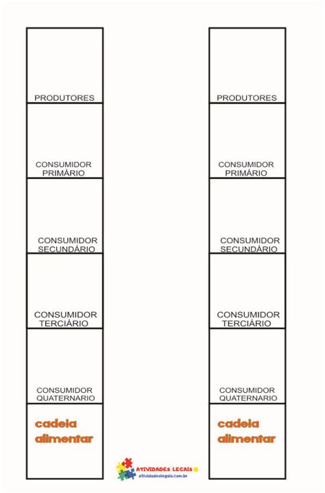 Cadeia Alimentar Ano Blog