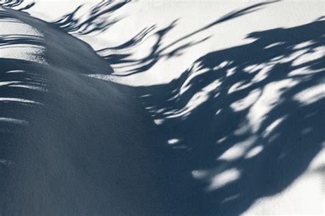 맑은 눈에 날카로운 그림자 눈은 곧 녹아 깨끗 하 고 신선한 공기와 야생 숲 주변 화창한 날씨에 겨울 동화 1월에 대한 스톡 사진 및 기타 이미지 Istock