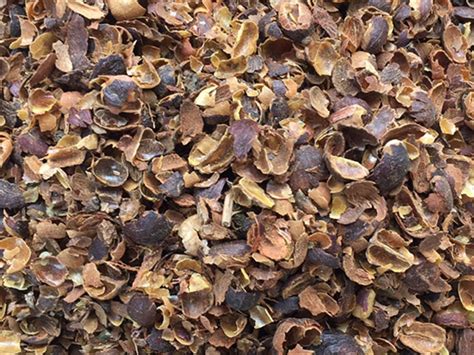 Hornos Metálicos Para Hacer Carbón Carbonización Beston