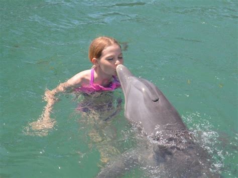 Swim With Dolphins Freeport Project Expedition