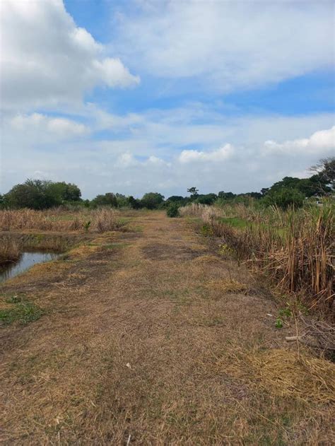 ที่ดิน นครปฐม ดอนตูม 8 ไร่ ขายถูก หน้ากว้างติดถนน คลองชลประทาน เข้า ออกหลายทาง โทร 081 4253207