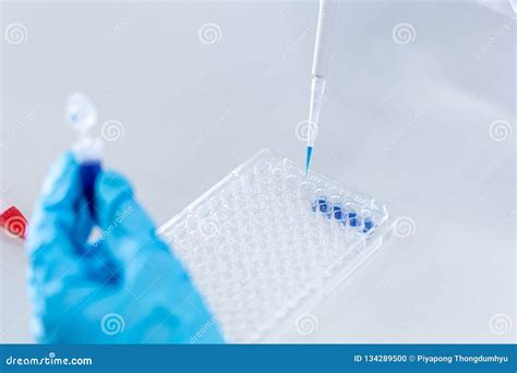Biochemical Analysis And Chemical Analysis In Lab Stock Photo Image Of Agent Blue 134289500