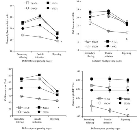 The Effects Of Nac On Chl Content Chl Fluorescence And The Fvfm