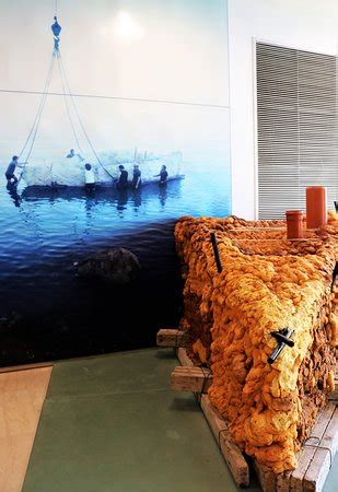 The Ancient Galilee Boat Ginosar 2019 All You Need To Know Before