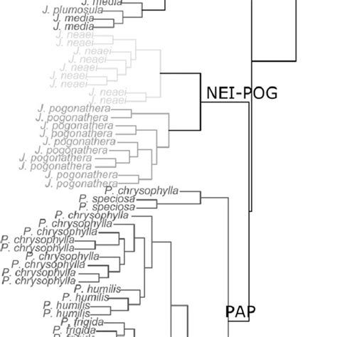 Cluster Analysis Bar Represents Gowers General Similarity