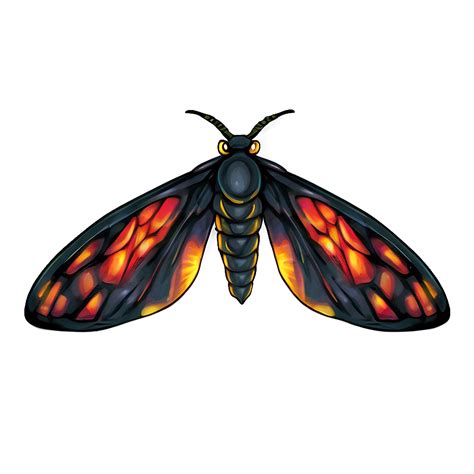 Download Moth And Flame Png Kix92