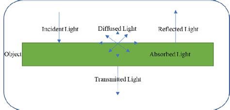 Light Interaction With Object Download Scientific Diagram