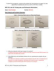 BIO Lab Prokaryotes And Eukaryotes Docx To Submit This Assignment Students Will