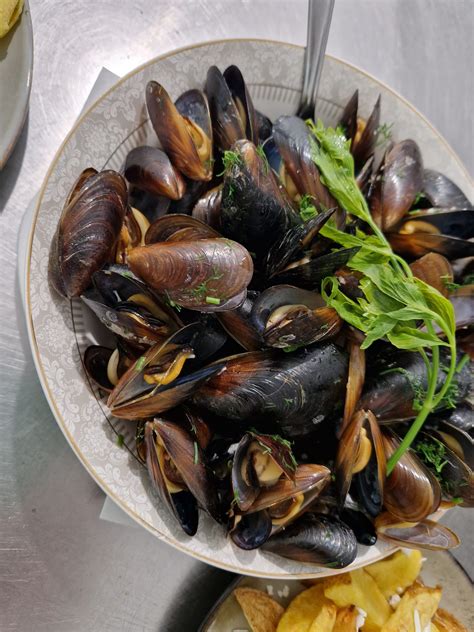 Ветеринарна клиника Ветеринарна клиника МедиВет