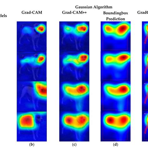 A Various Pre Trained Models B Results Of Grad Cam C Results Of Download Scientific