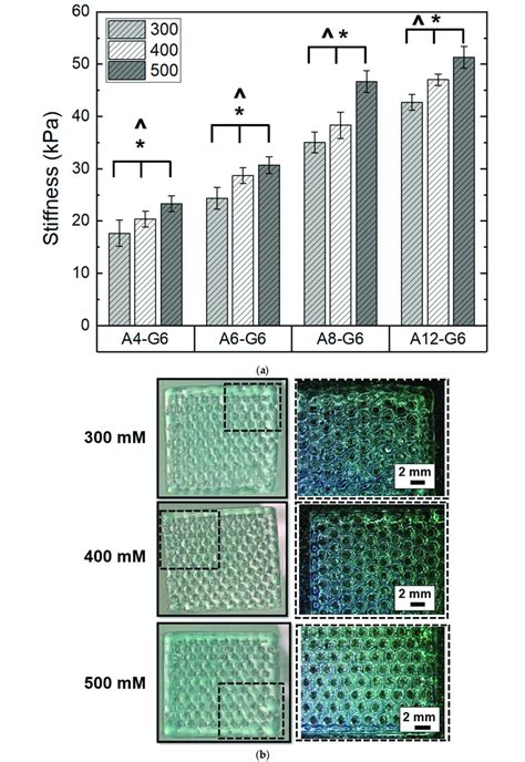 Effect Of Crosslinking Concentration On The Stiffness Of The Printed