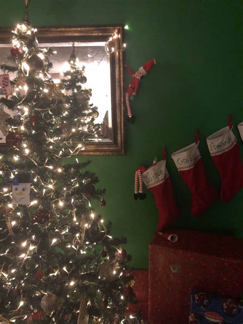 Jingle And Jangle Trying To Score Some Early Stocking Candy Scrolller