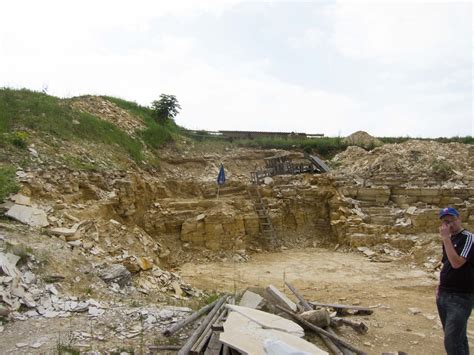 Lauer Foundation Pse Solnhofen Fossils
