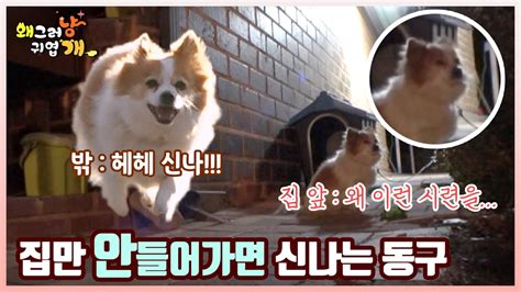 집 안과 밖이 너무 다른 동구 표정부터 확연하게 다르쥬 Youtube