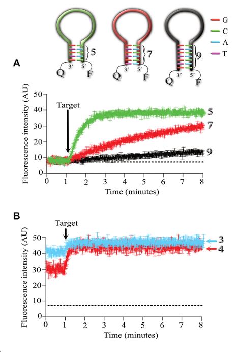 Figure 3 From Design Of Hydrogel Silk Based Microarrays And Molecular Beacons For Reagentless