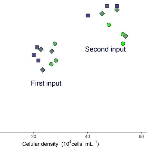 Correlation Among N Concentration Cellular Density And Ph In