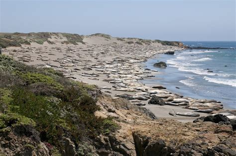 9 San Luis Obispo Parks To Check Out Now