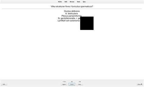 black rectangles and graphical artifacts during review r anki