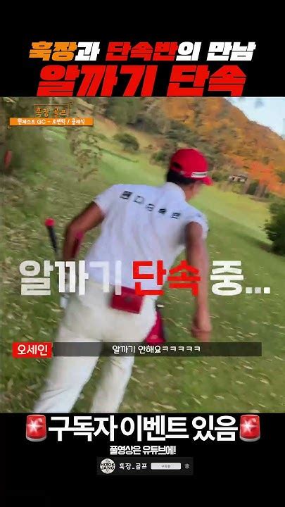 알까기 단속 훅장골프 오세인 핸디단속반 윈체스트gc Youtube