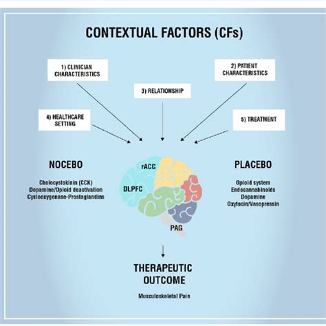 Psycho Neurobiological Mechanism Of CFs The Image Displays How CFs Are Download Scientific