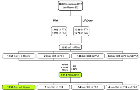 Workflow Diagram Of Mirna Selection And Filtering The Two Subsets Of Download Scientific
