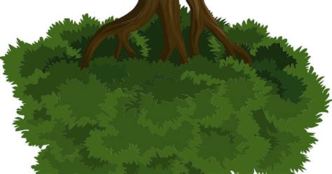 Draw Decision Tree Online From Data Machine Learning Carroll Ouldives