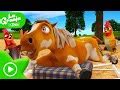La Granja De Zenon Las Temporadas 2 Mashup 2 Youtube Multiplier