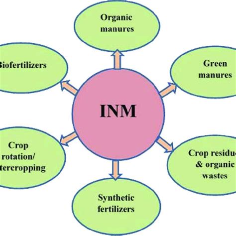 Components Of An Integrated Nutrient Management Inm Download Scientific Diagram