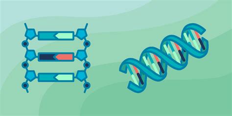 Bioinformatics Algorithms AI Powered Course