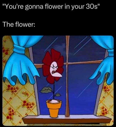 20 Memes Thatll Turn Your Straight Face Into A Myth Funny