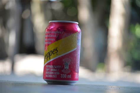 Schweppes Ginger Ale Drink Free Photo On Pixabay Pixabay