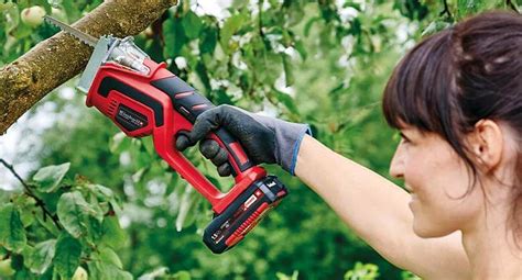 Buy Powerful Chainsaws From Einhell Einhellde