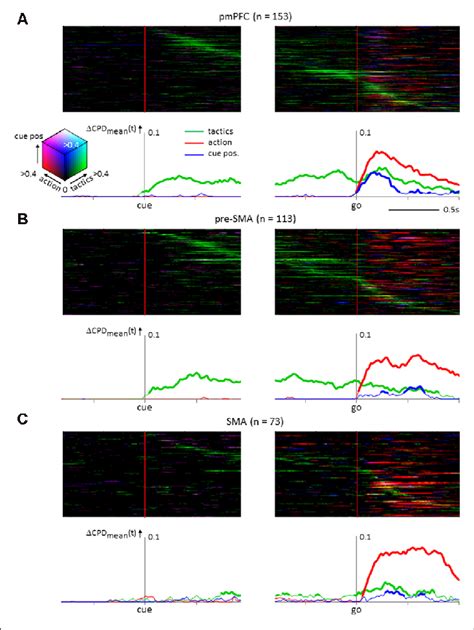Temporal Variance Of Neuronal Selectivity For Tactics Action And