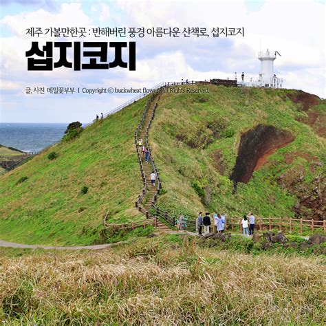 제주 가볼만한곳 반해버린 풍경 아름다운 산책로 섭지코지 네이버 블로그