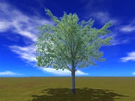 Second Life Marketplace Small Summer Apple Tree