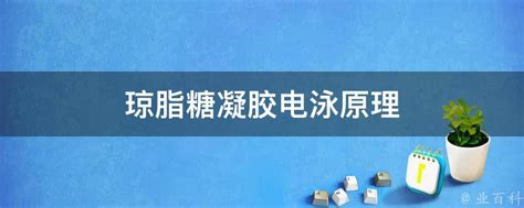 琼脂糖凝胶电泳原理 业百科