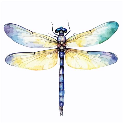 Watercolor Dragonfly Vector Isolated Illustration Premium Ai Generated Vector