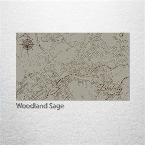 Blakely Pennsylvania Street Map Street Map Map Blakely