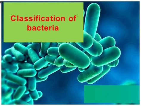 Classification Of Bacteria Pptx