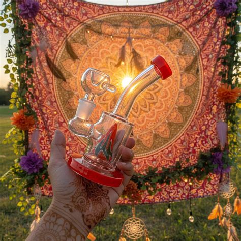 Compact Diffuser Rig 6 Borosilicate Water Pipe India Theboomboxclub