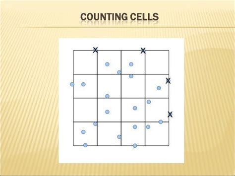 Hemocytometer Manual Cell Counting 1