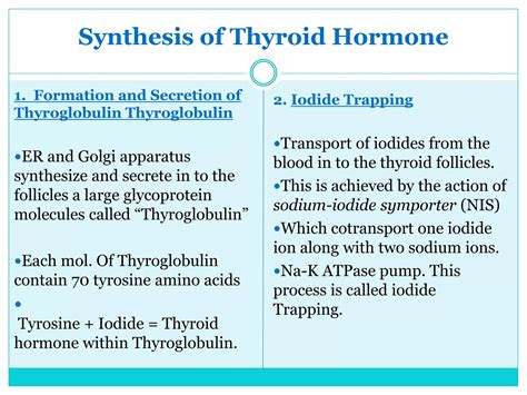 Thyroid Hormone The Guyton And Hall Physiology Pptx